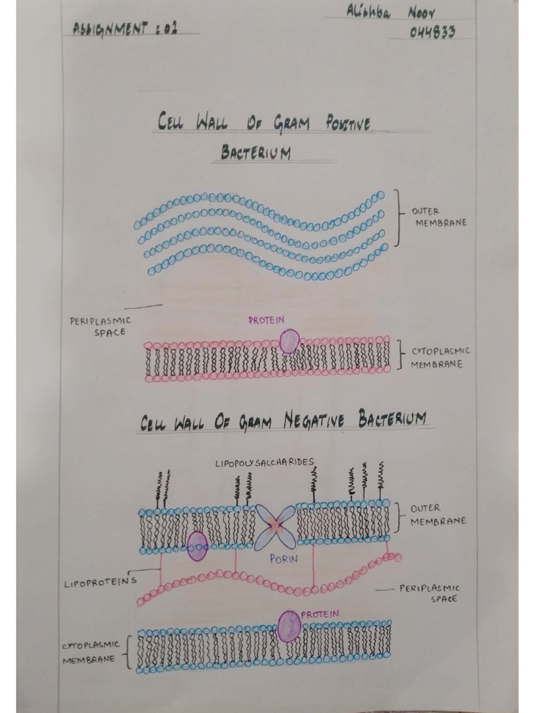 microbiology assignment.44833 | PDF