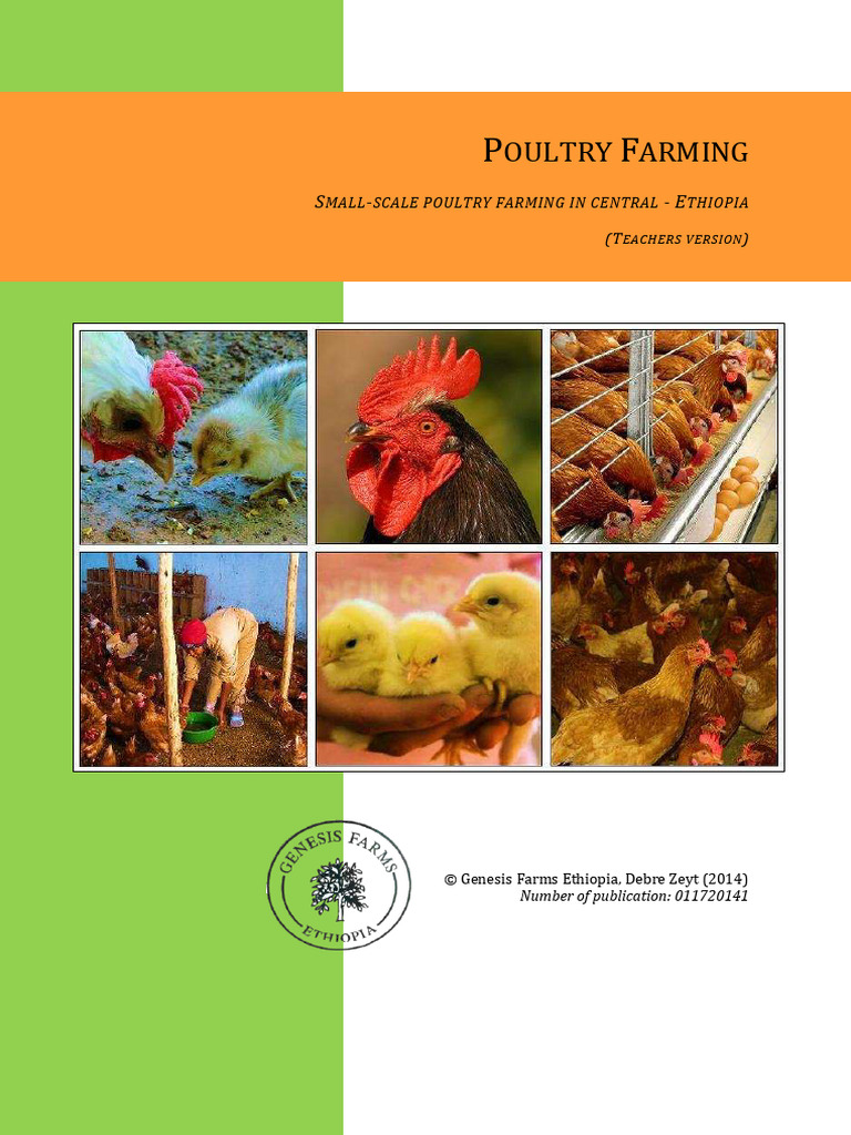 Poultry Farming Small Scale Poultry Farm | PDF | Chicken | Stomach
