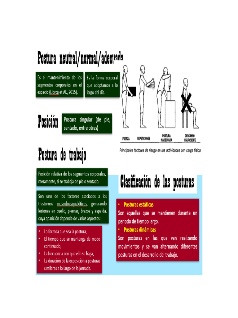 Posturas de Trabajo | PDF