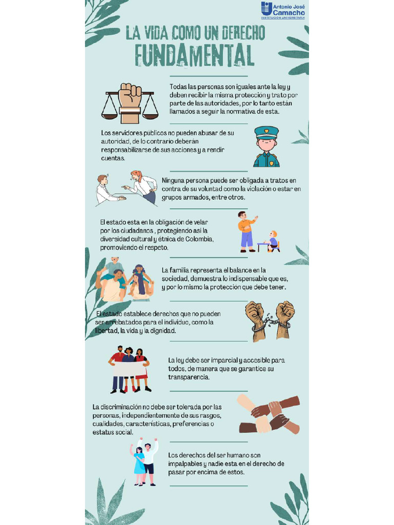 Infografia Constitucion Politica Pdf