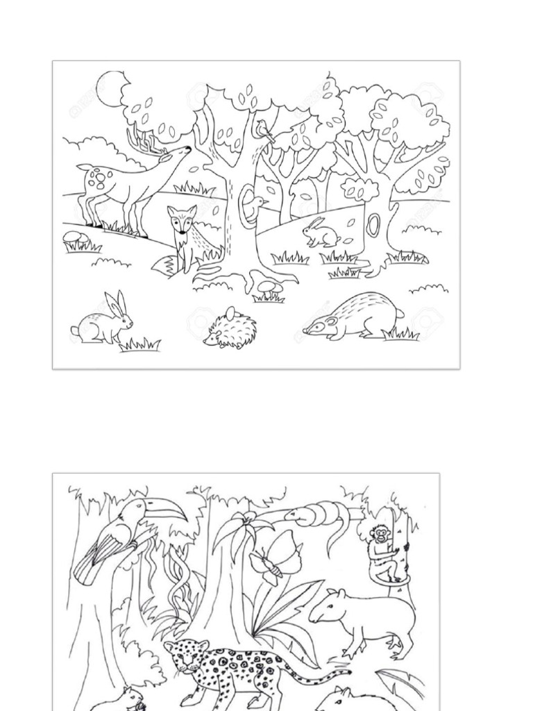 Ecosistemas dibujos para colorear | PDF