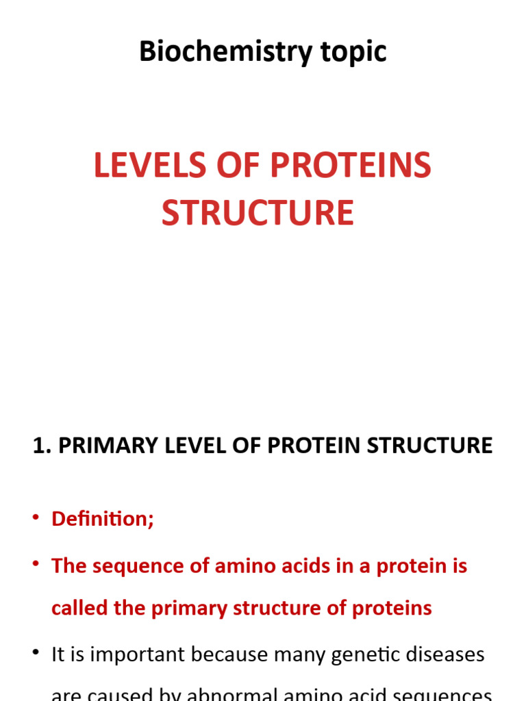 Levels of Protein Structure | PDF | Alpha Helix | Protein Structure