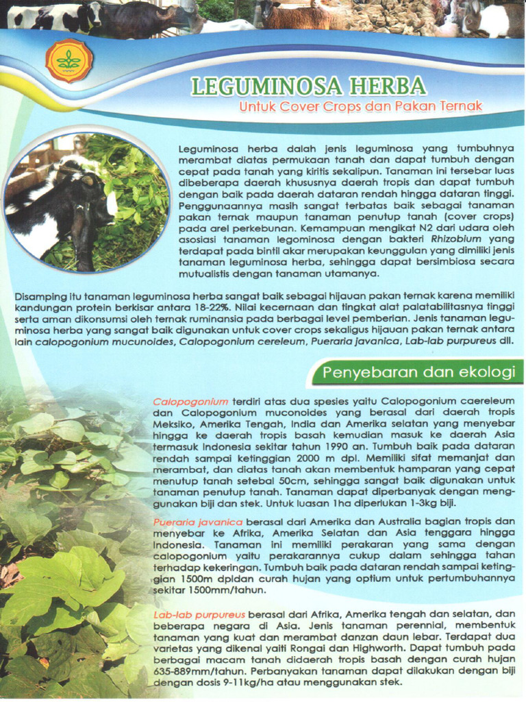 Leguminosa Herba | PDF