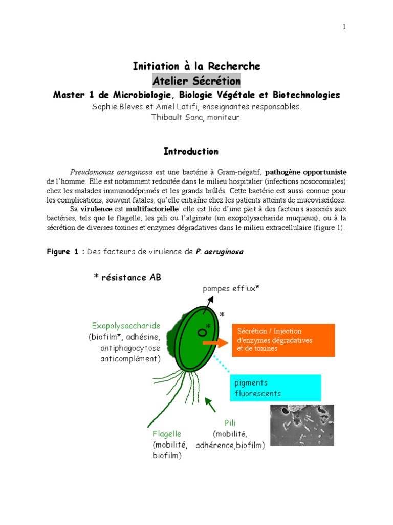 Fascicule TP BM BC BIOC | PDF | Protéines | Sciences de la vie