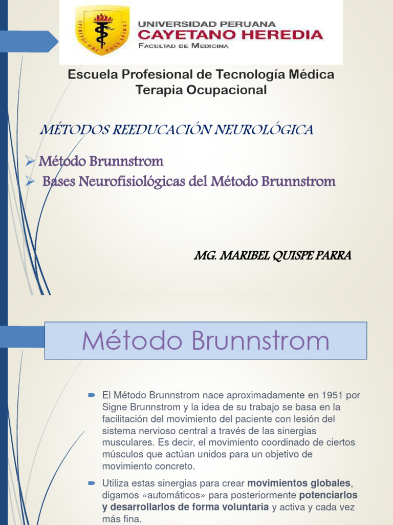 Metodo Brunnstrom UPCH.2022.TEO..Ppt - Clase1 | PDF | Anatomía | Medicina CLINICA