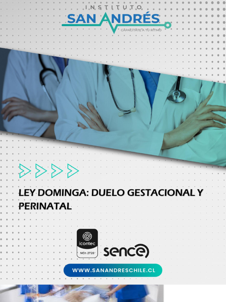 Programa Ley Dominga 60 HRS | PDF | Dolor