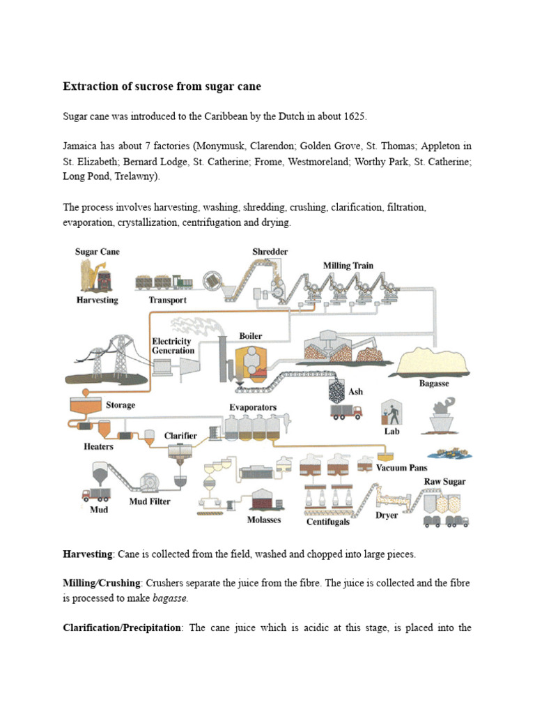2d. Sugar Cane Extraction Notes | PDF
