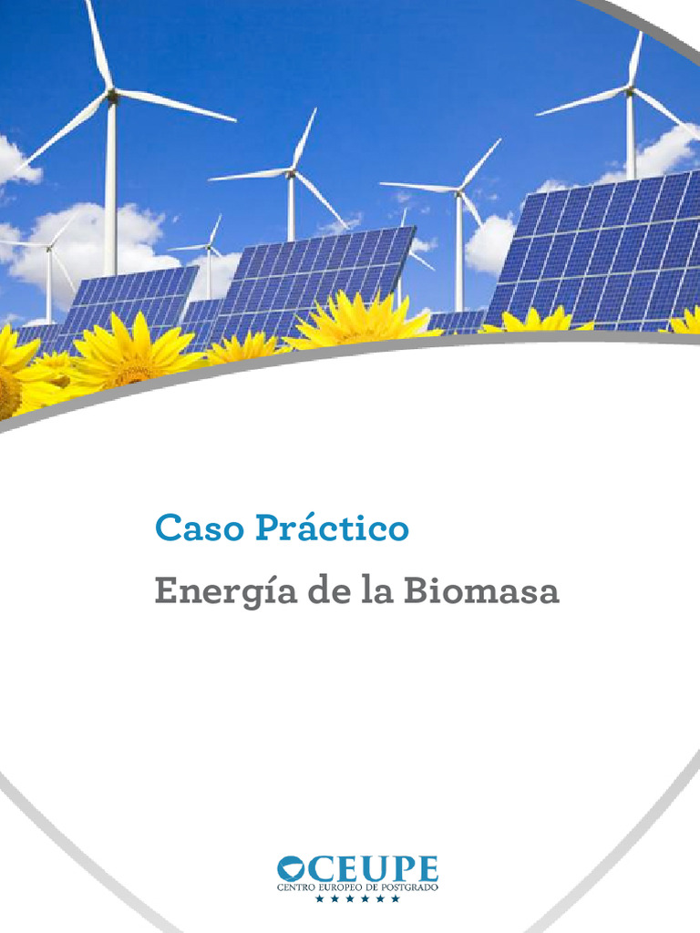 Caso_Practico_Energia de la Biomasa | PDF