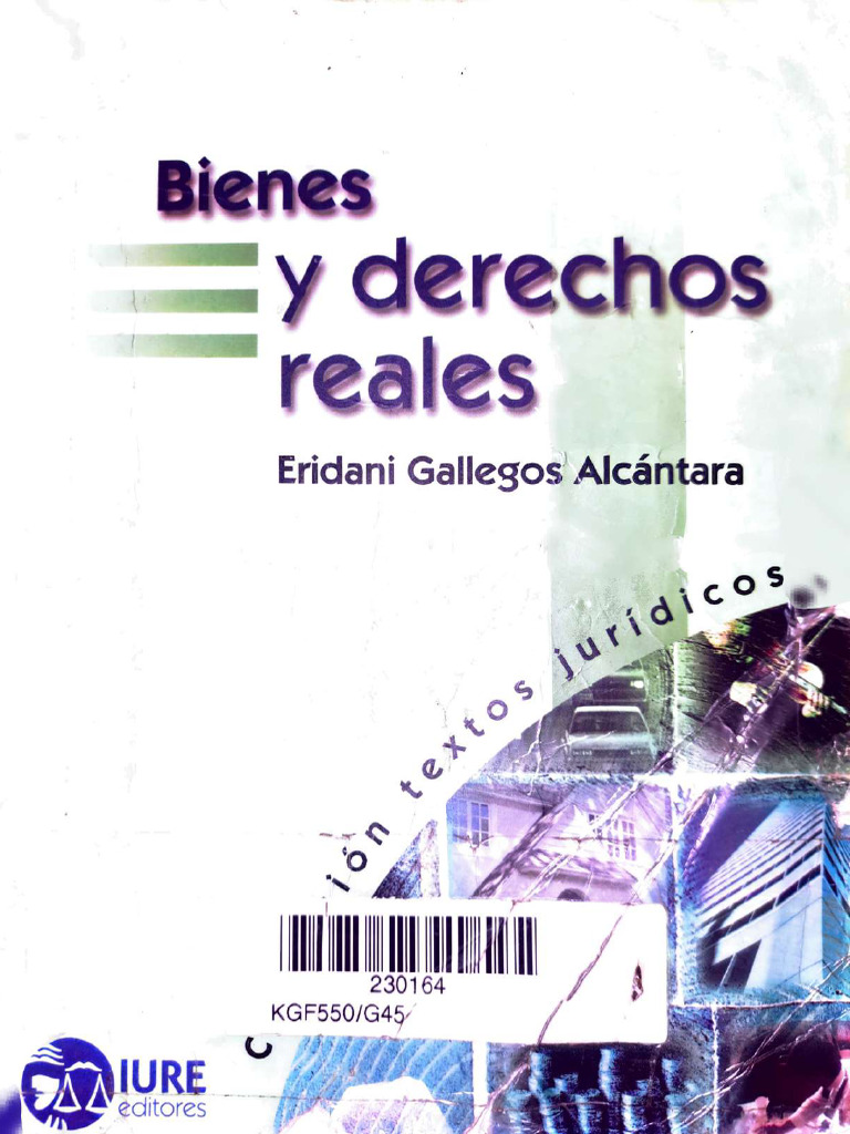 Bienes y Derechos Reales - Eridani | PDF | Bienes (Ley) | Condominio