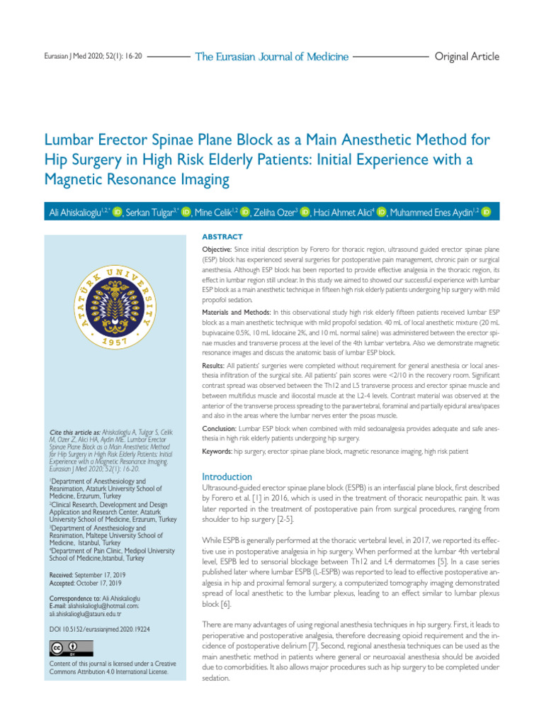 Lumbar Erector Spinae Plane Block As A Main Anesthetic Method For Hip ...