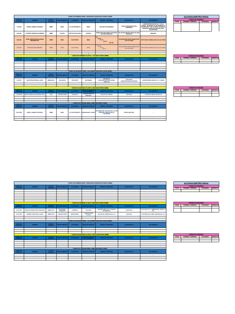 Marzo 2024 Reporte Diario-Mina y Planta | PDF | Dolor de cabeza | Sistema nervioso