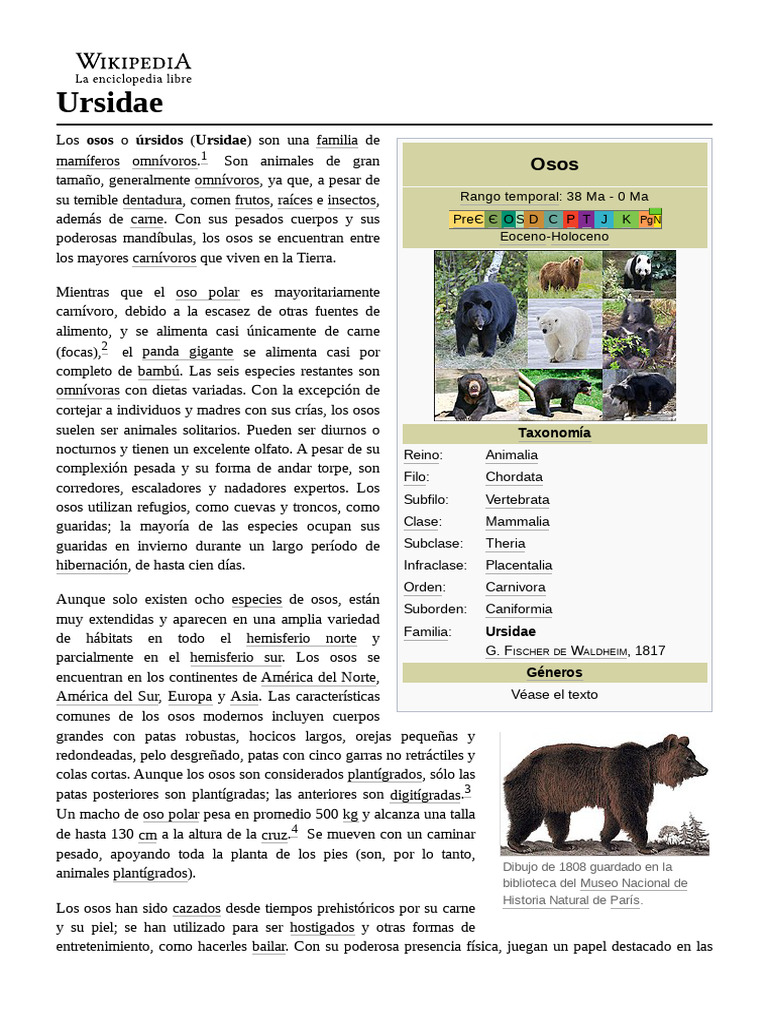Ursidae | PDF | Osos | Depredadores