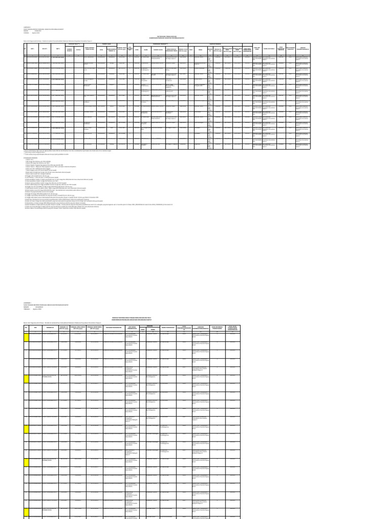 Tabel Pendataan Format Menpan BP2P Papua II | PDF