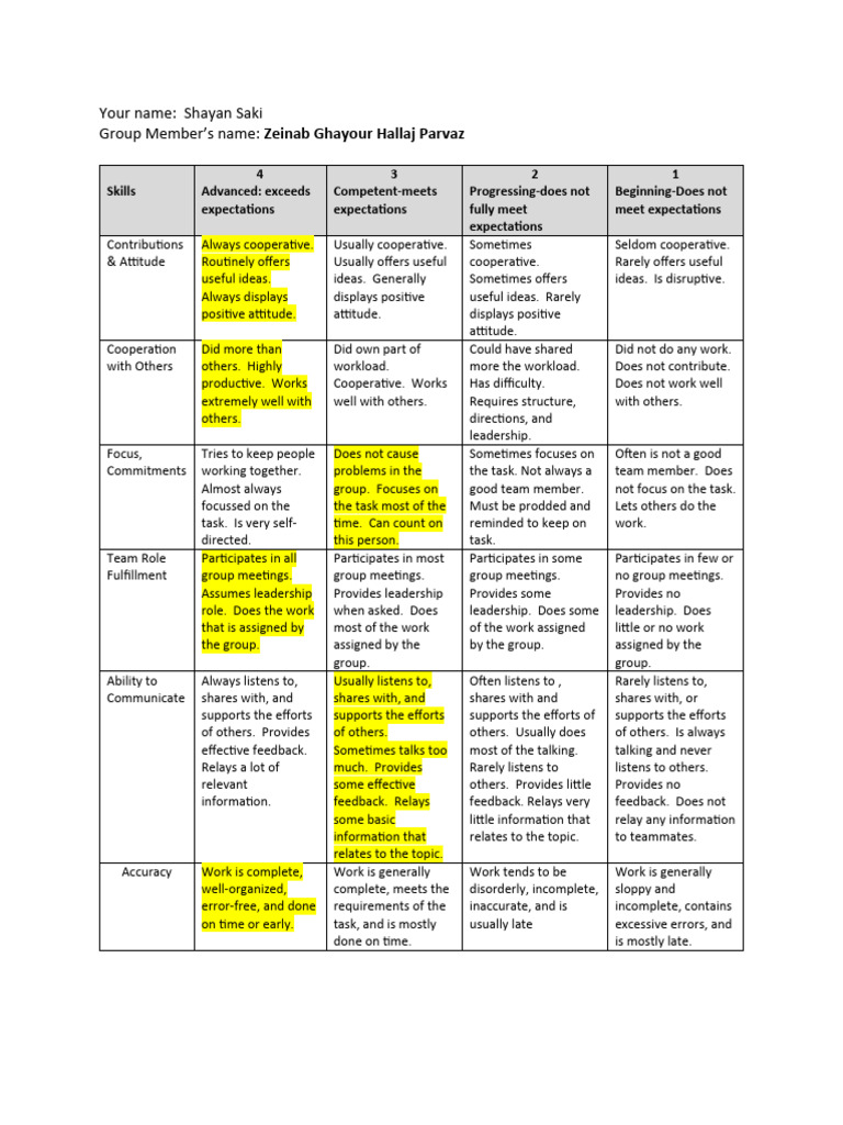 1B Groupwork Peer Evaluation Rubric | PDF | Leadership | Cognition