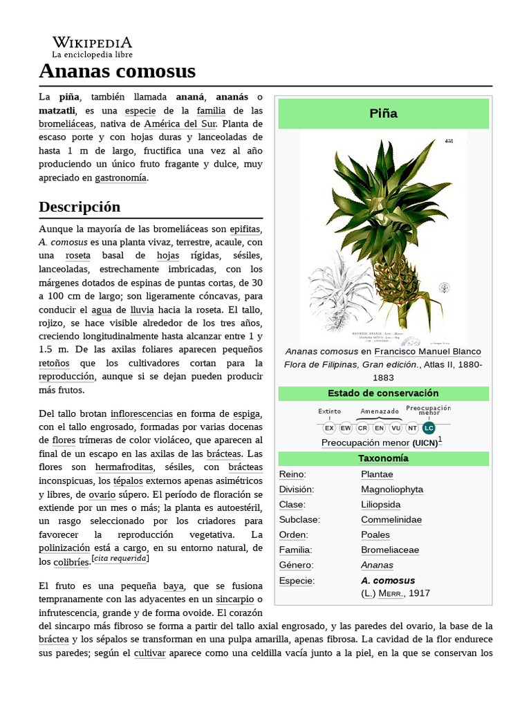 Ananas Comosus | PDF | Plantas | Botánica