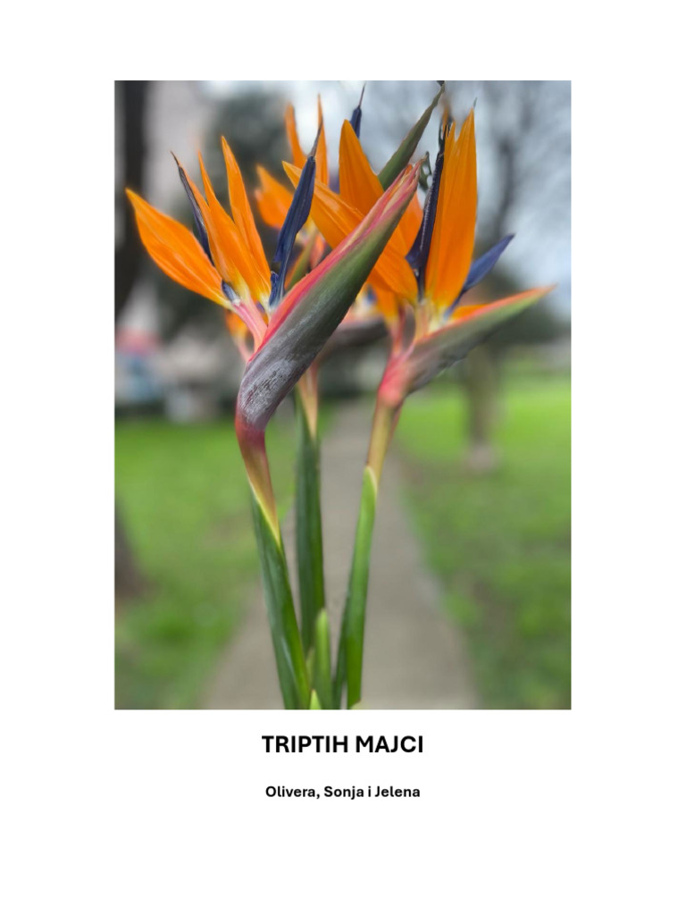 Triptih Majci | PDF