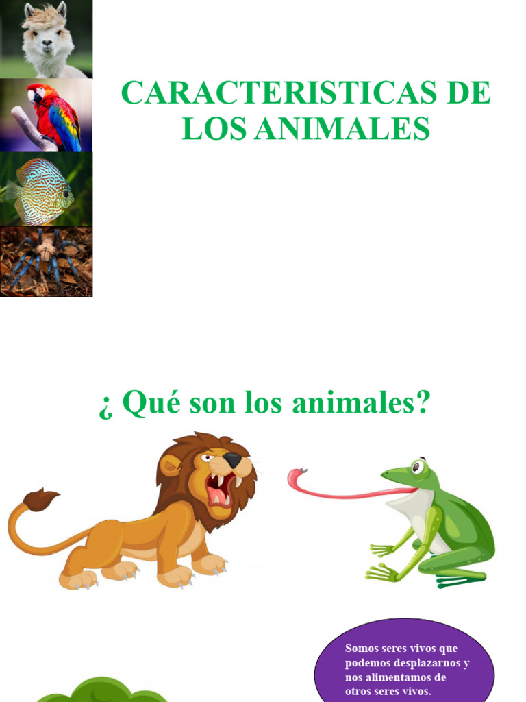 Caracteristicas de Los Animales | PDF