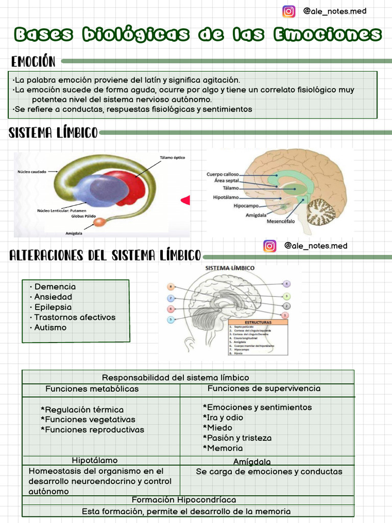 Bases Biologicas De Las Emociones Pdf Las Emociones Amígdala