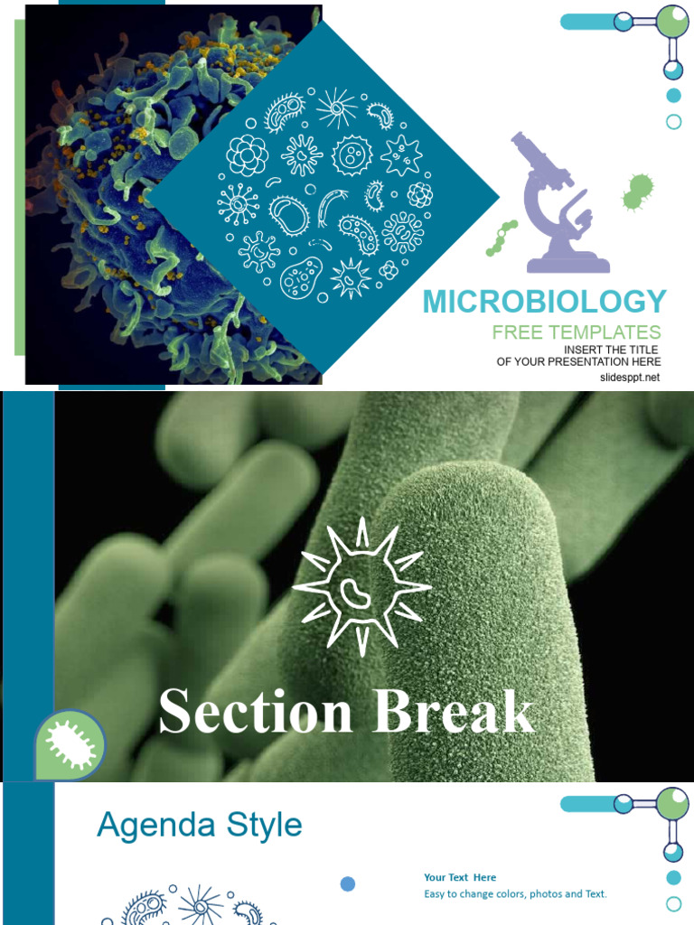 Microbiology Template | PDF | Multimedia | Writing