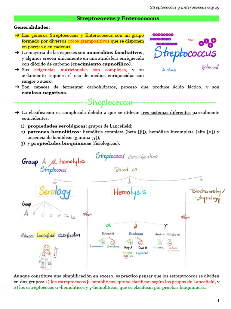Streptococcus y Enterococcus | PDF | Estreptococo | Causas de la muerte