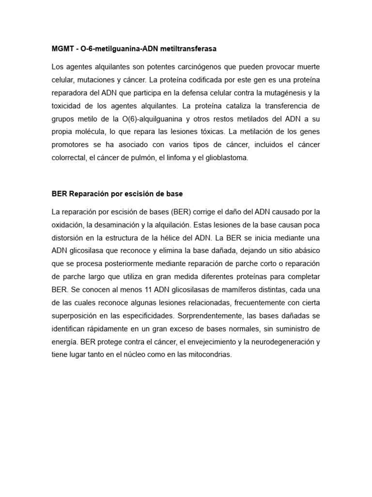reparadores de ADN | PDF | Reparación de adn | Adn