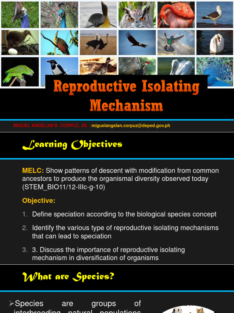 Understanding Speciation and Isolation Mechanisms | PDF | Hybrid ...
