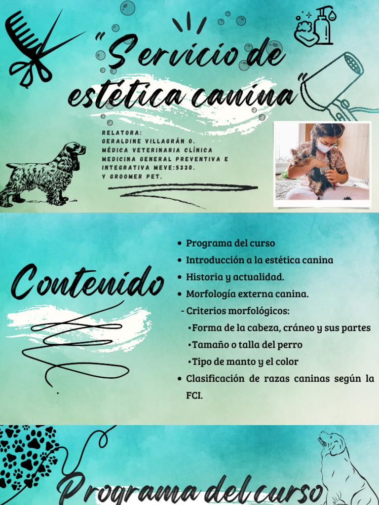 Servicio de Est - Tica Canina | PDF | Perro tejonero | Terriers