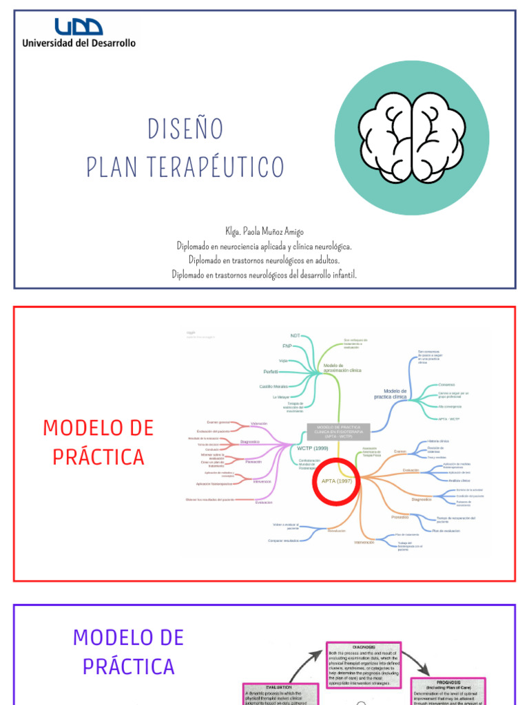 Plan Terapéutico en Rehabilitación Kinésica | PDF | Terapia física ...