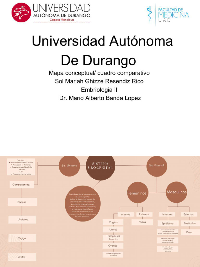 0AC07514-B24F-4EBE-B9C2-3ED4D67315DA | PDF