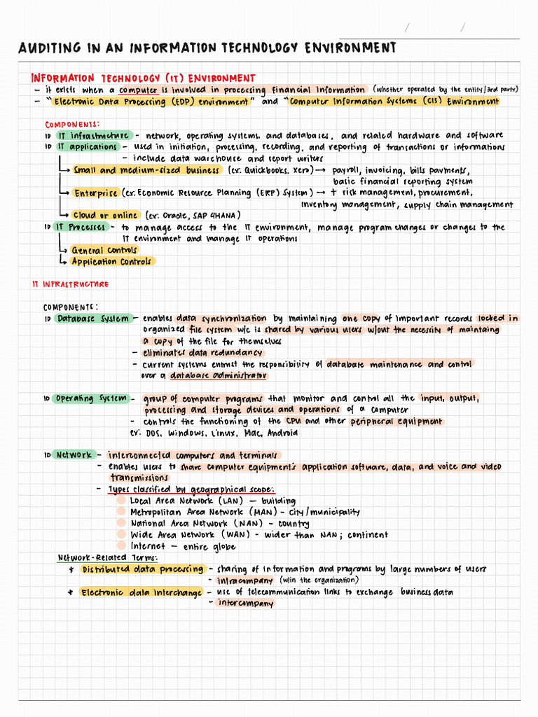 08 Auditing in An IT Environment | PDF