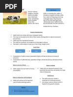 Cow Taxonomic Classification | PDF