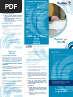 Formulario Provida | PDF