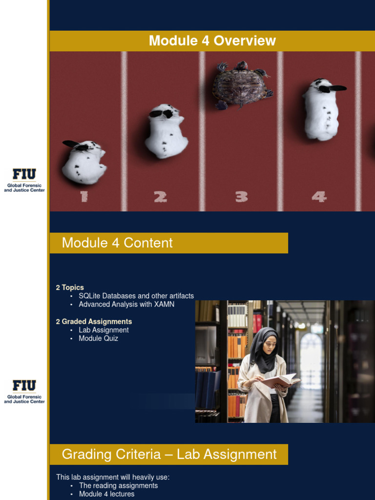 4.0 Module 4 Overview - Audio | PDF