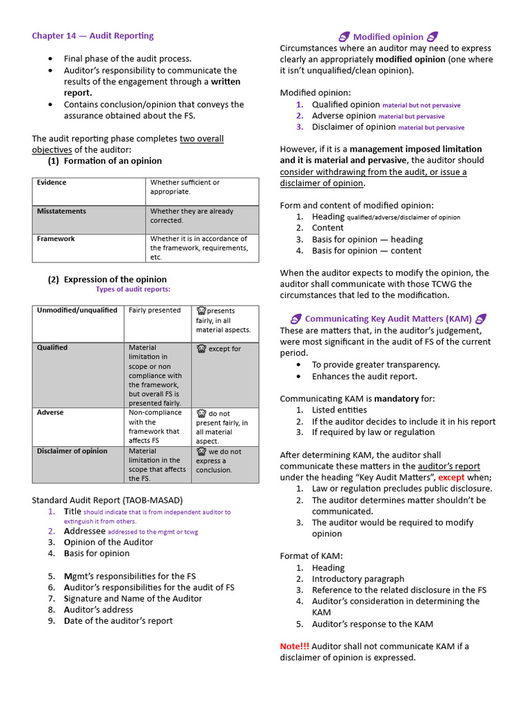 Aap Ch. 14 | PDF | Auditor's Report | Audit