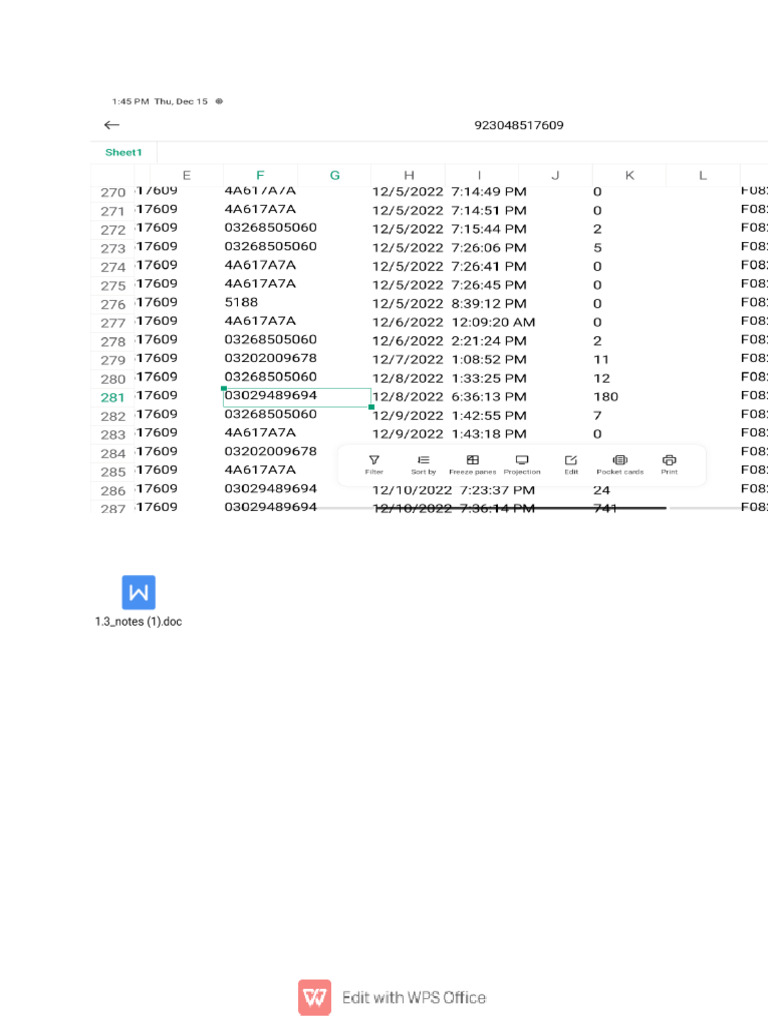 Document WPS Office | PDF