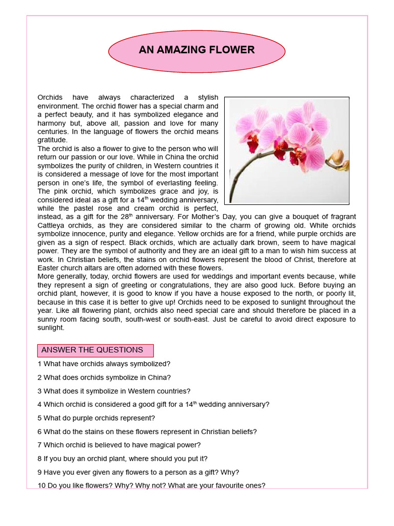 An Amazing Flower Reading Comprehension - 151061 | PDF | Flowers
