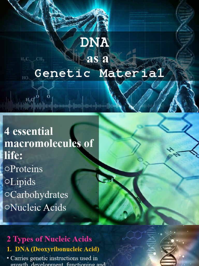 DNA and Genetic Engineering | PDF
