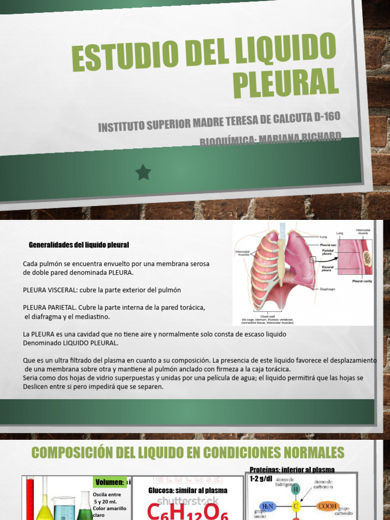 Estudio del Líquido Pleural y su Composición | PDF | Staphylococcus ...