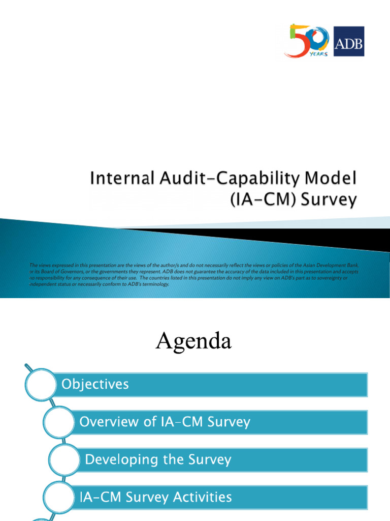 Internal Audit Capability Model | PDF