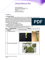 Jenis Jenis Batang Tumbuhan | PDF | Sains & Matematika