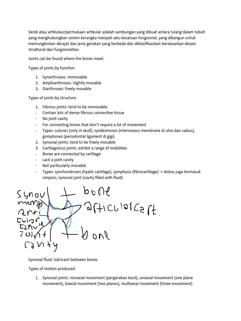 Rangluman Materi Otot Dan Sendi | PDF