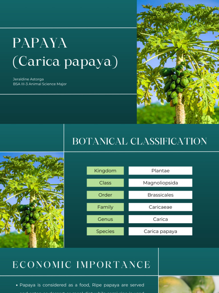 Carica papaya as a potential pest control | PDF