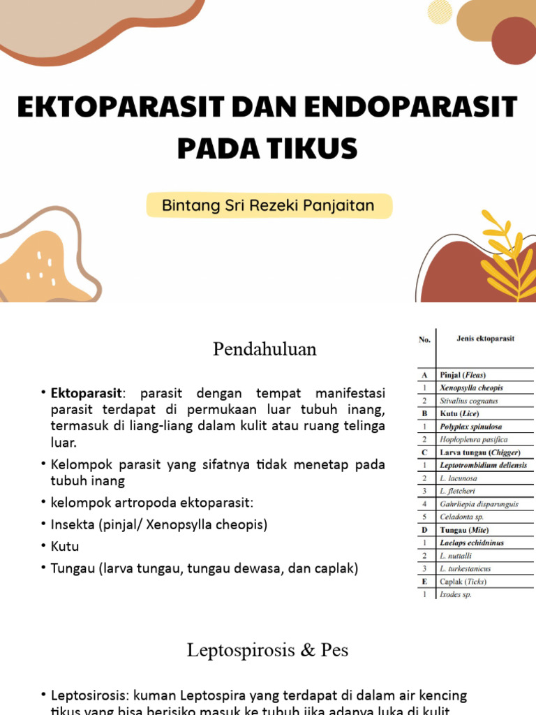 Ektoparasit Dan Endoparasit | PDF