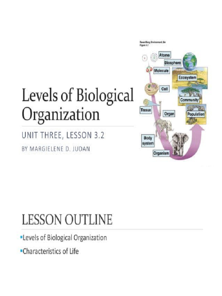 Levels of Biological Organization | PDF