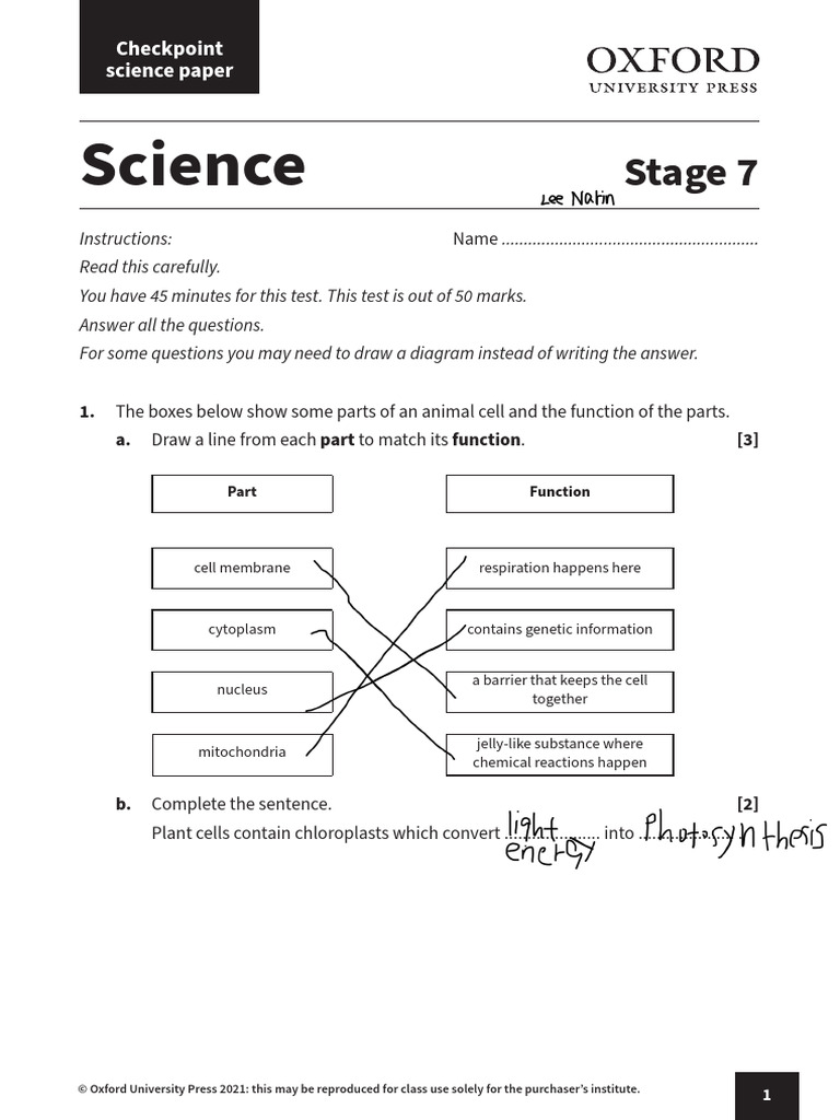 Y7 Checkpoint 2 | Download Free PDF | Solar System | Planets
