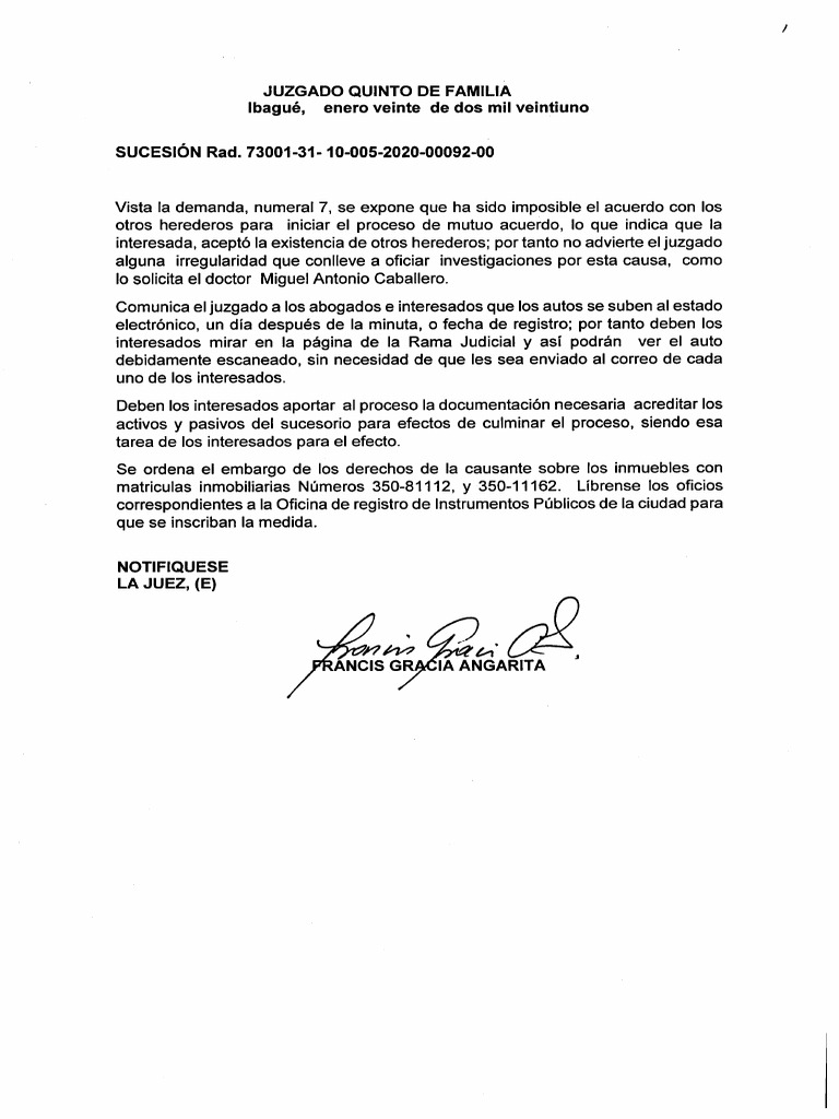 Rad 2020-92 Sucesion | PDF