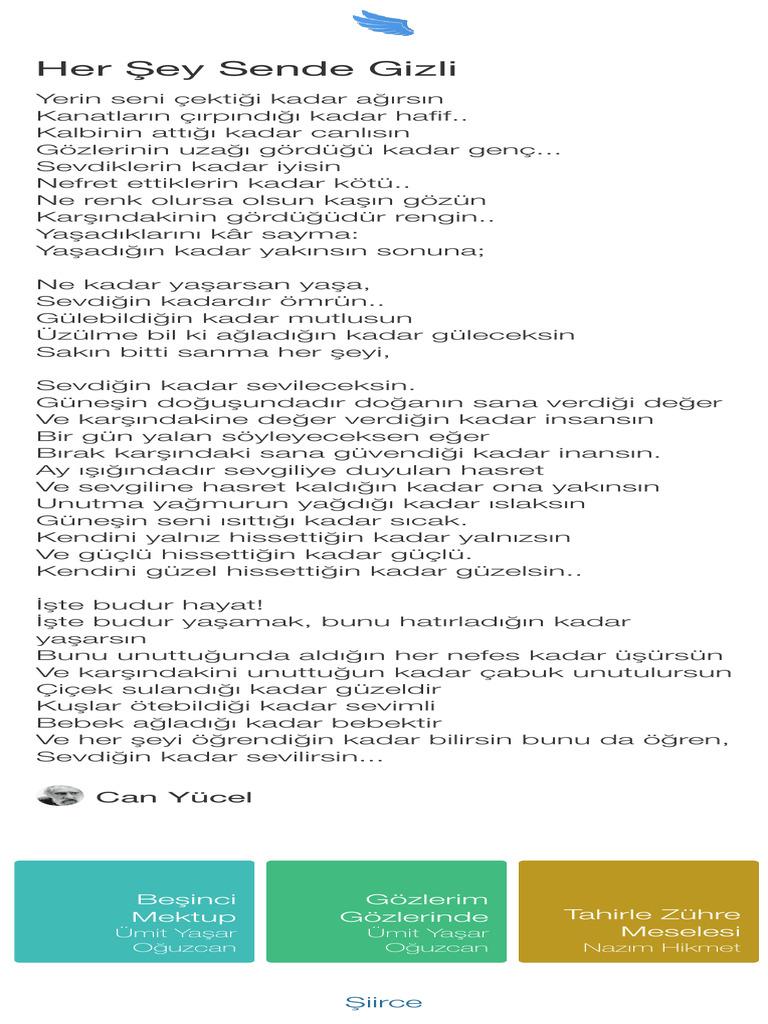 Her Şey Sende Gizli Şiirce | PDF