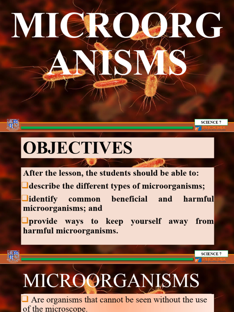 Microorganisms 101 | PDF | Microorganism | Bacteria