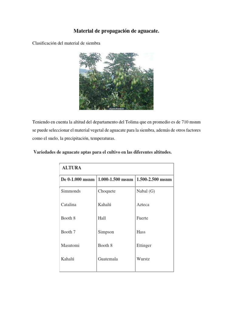 Material de Propagación de Aguacate Actividad 2 Punto 3 | PDF | Fertilizante | Suelo