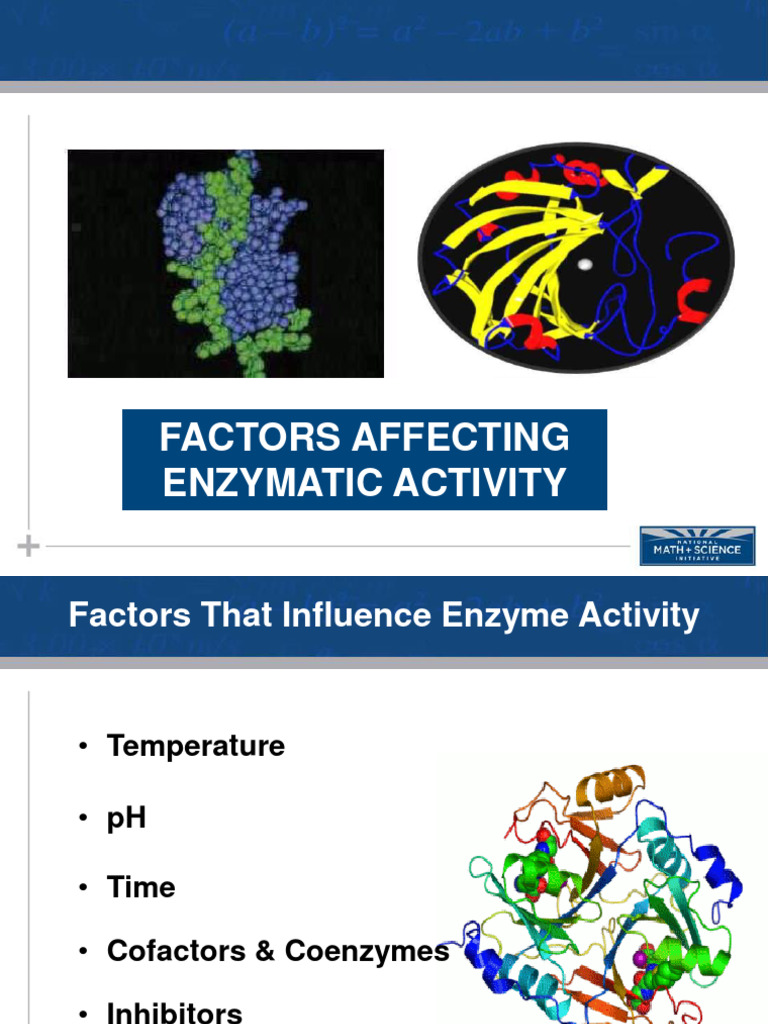 Factors That Affecting Enzymes-Genbio2 | PDF | Enzyme | Enzyme Inhibitor